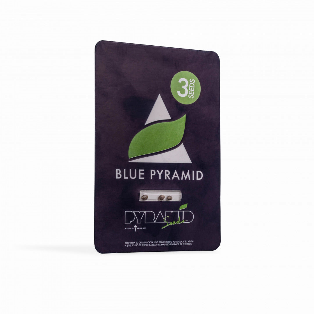 PYRAMID SEEDS FEM BLUE PYRAMID – Cultiseeds